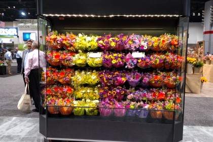 Open Floral Display Case with Back Door Storage Option